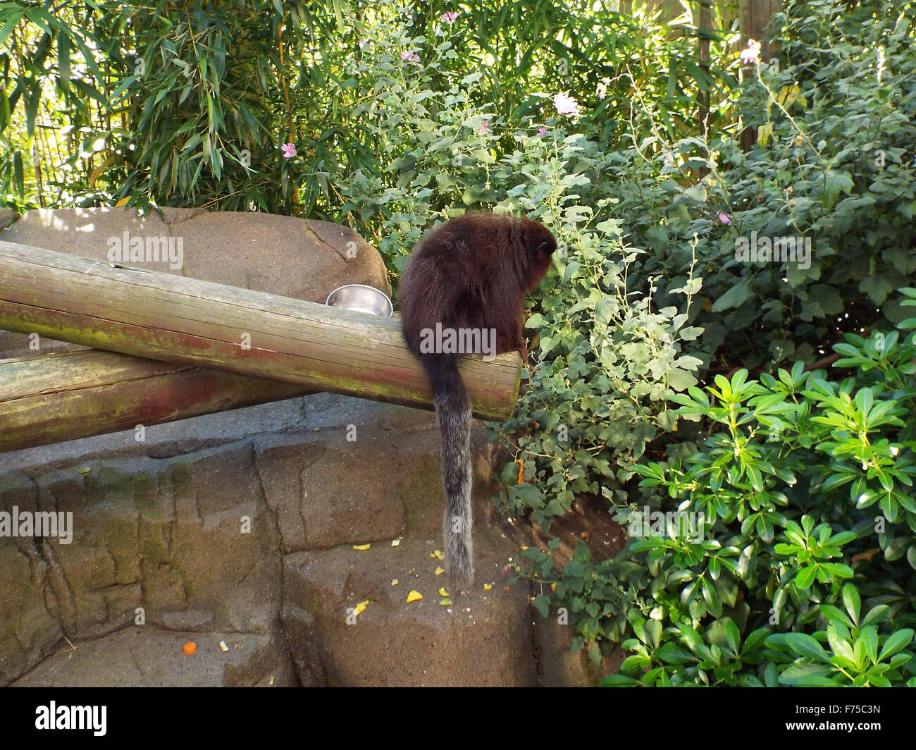 Back turned sitting hi-res stock photography and images - Alamy