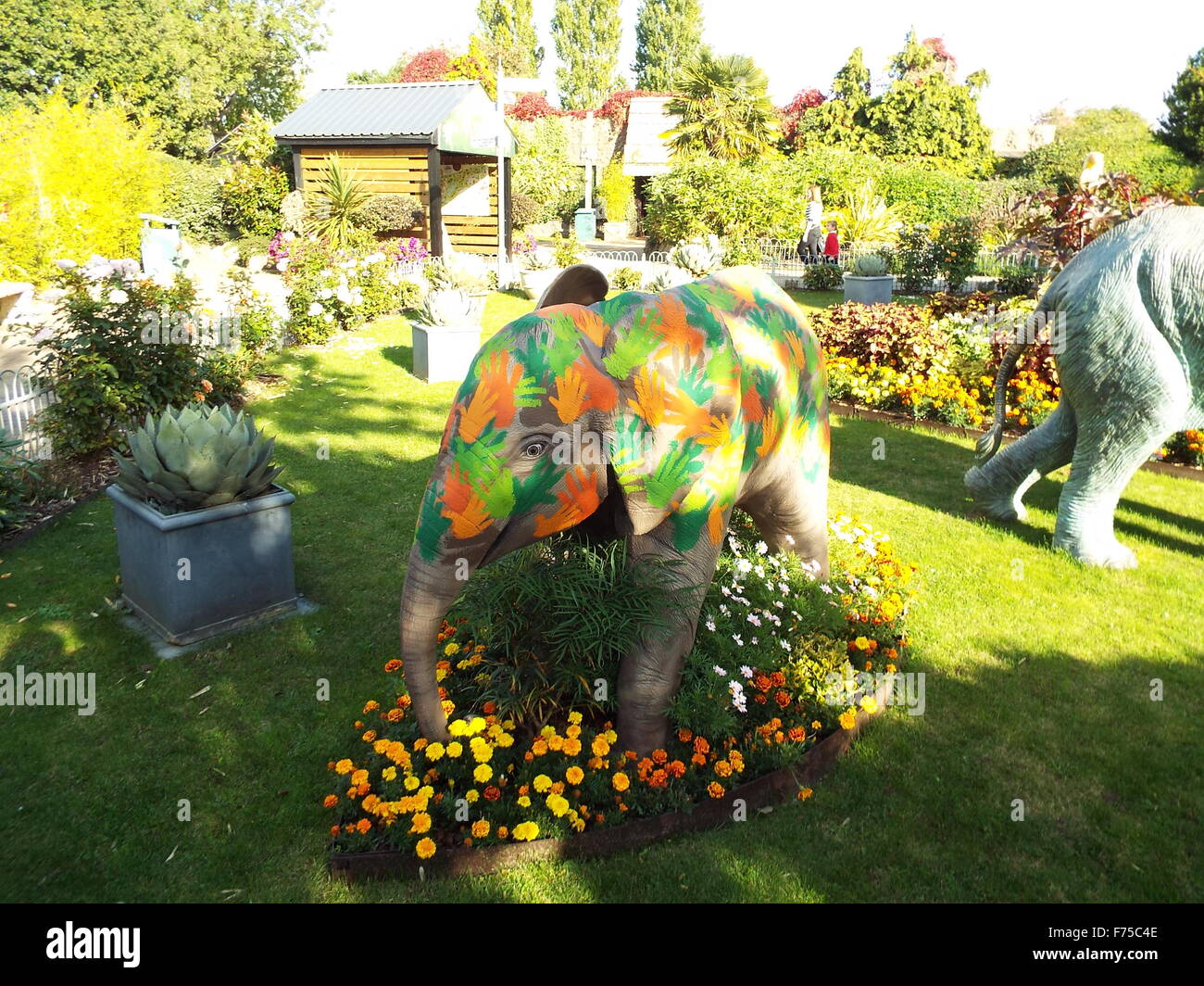 Elephant flower hi-res stock photography and images - Alamy
