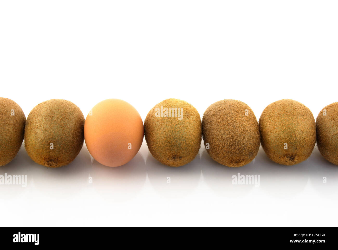 Brown kiwi egg hi-res stock photography and images - Alamy