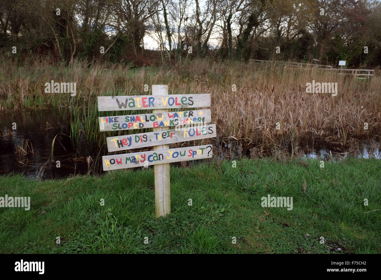 Water voles live here sign for children on a RSPB nature reserve in ...