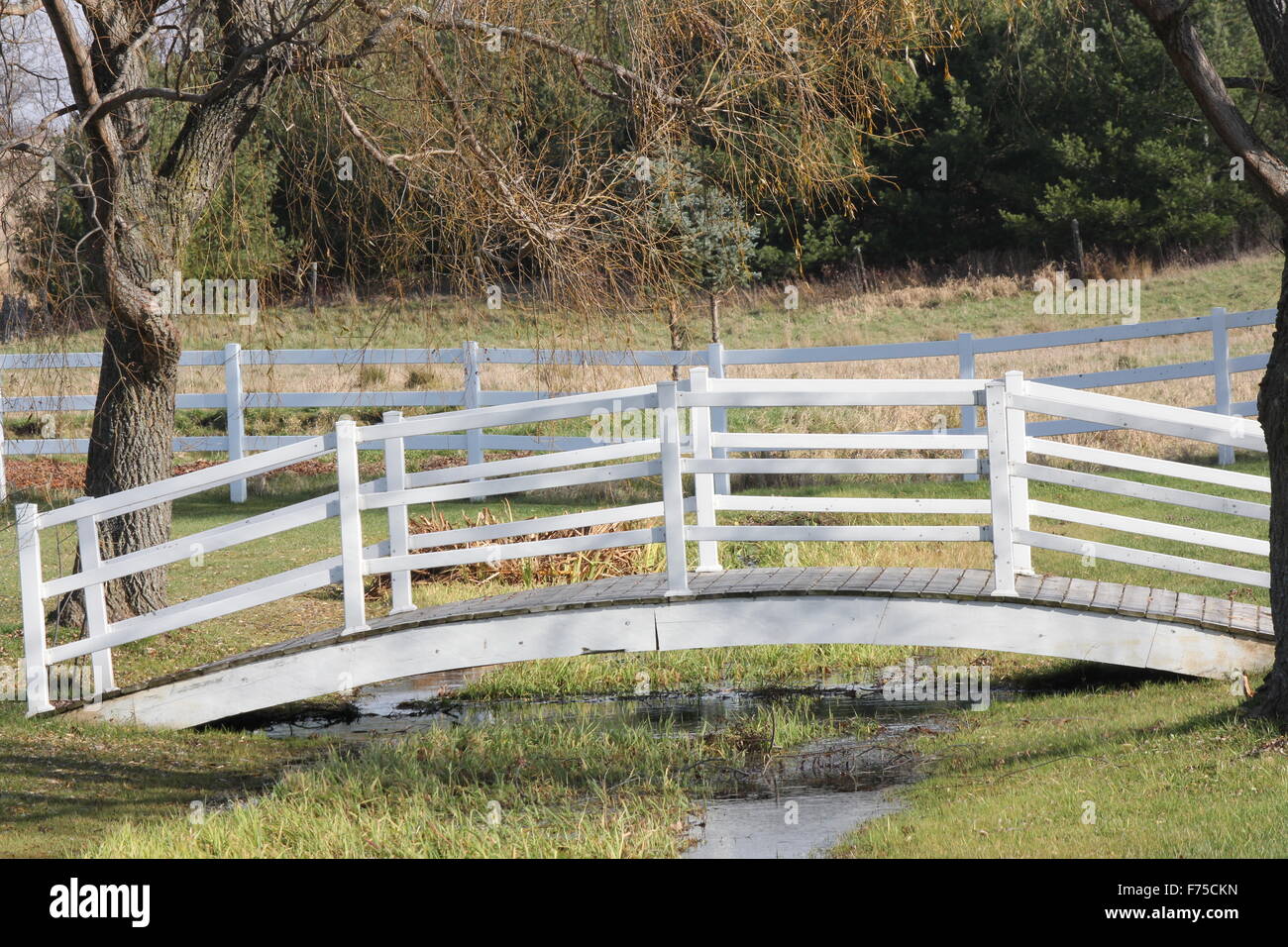 A white, wooden bridge spanning a small ditch full of water Stock Photo ...