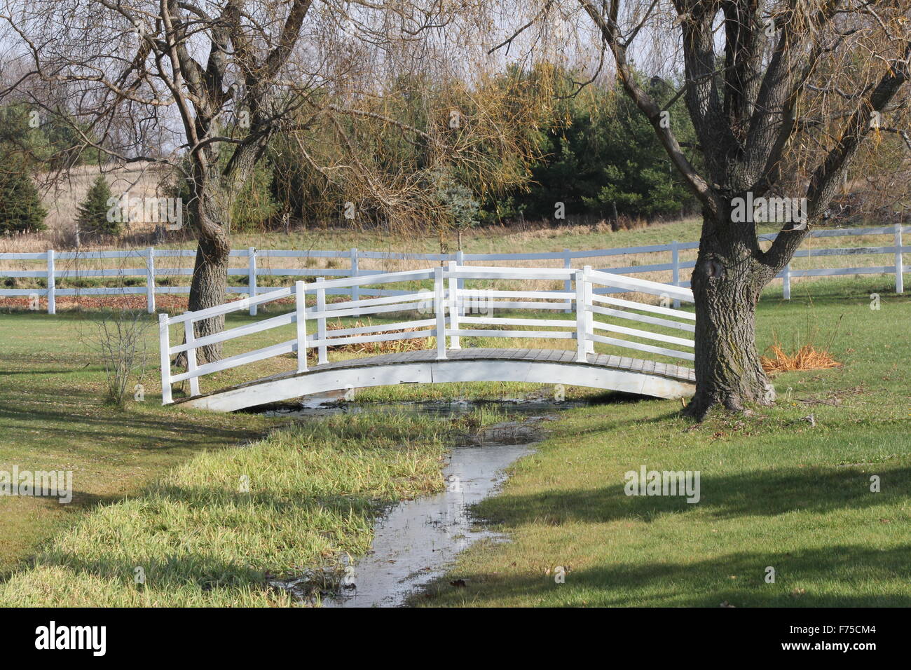 A white, wooden bridge spanning a small ditch full of water Stock Photo ...