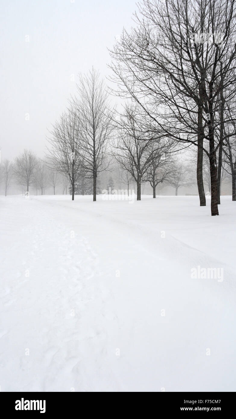 Snow covered alley in a winter park Stock Photo - Alamy