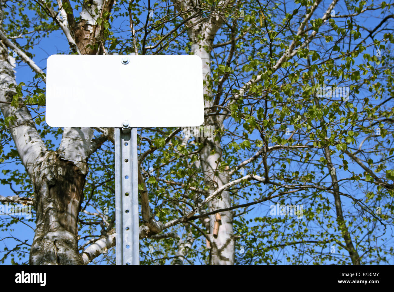 Blank sign in spring forest Stock Photo - Alamy