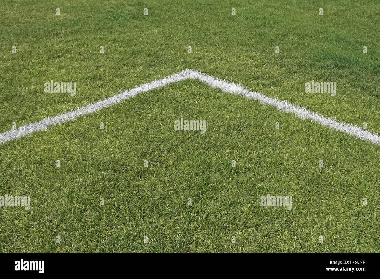 Corner lines of a playing field Stock Photo - Alamy