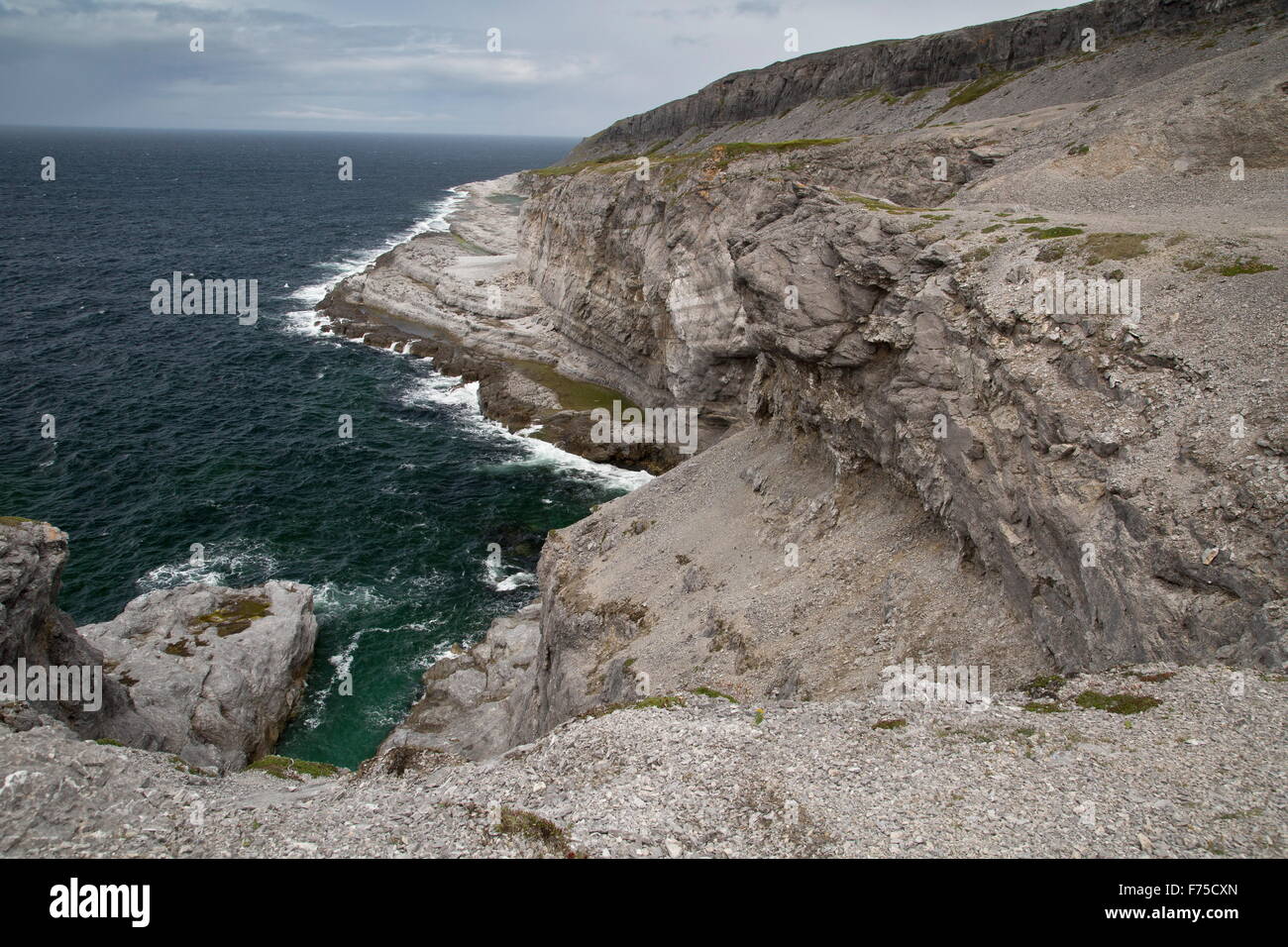 Newfoundland barrens hi-res stock photography and images - Alamy