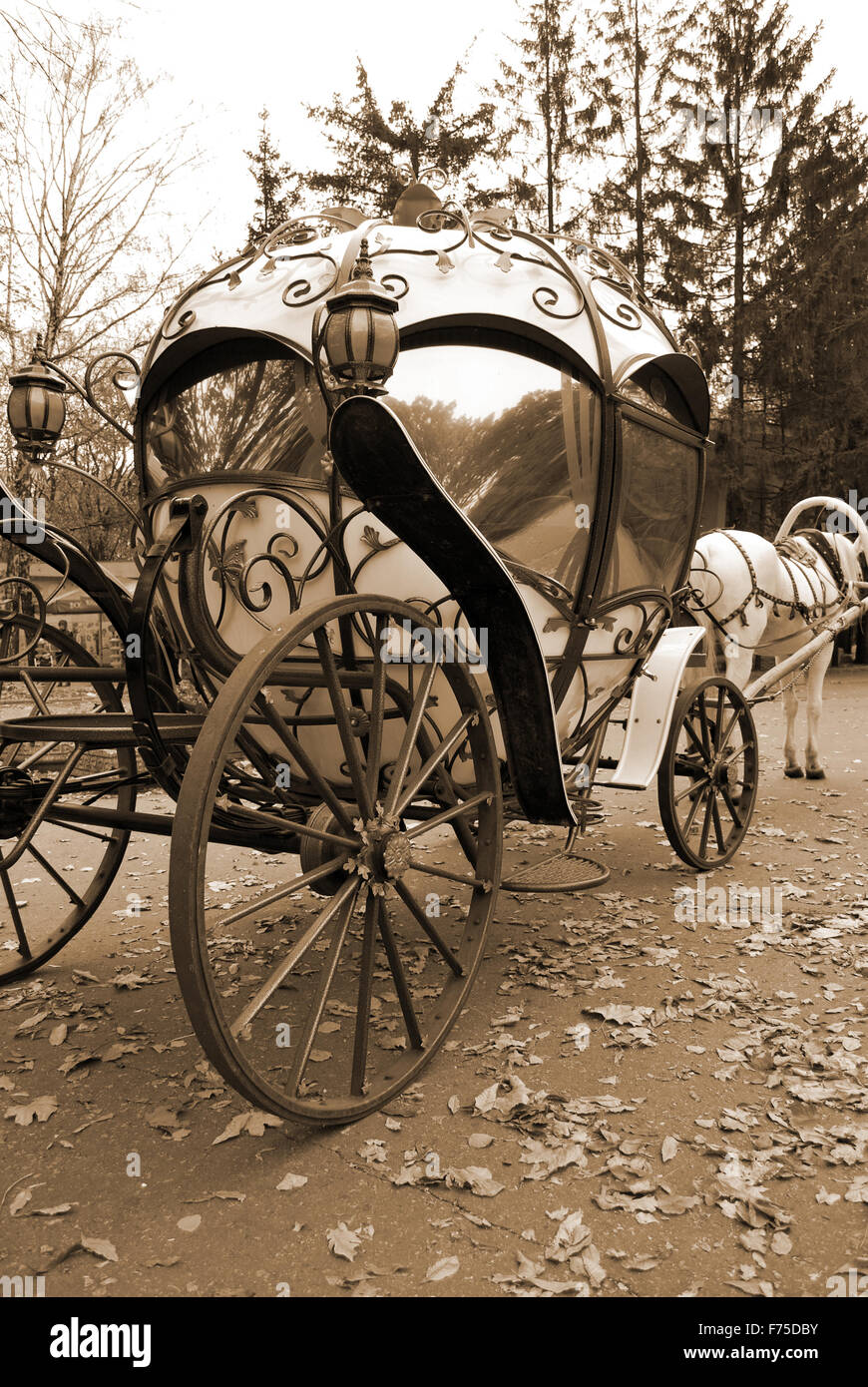Carriage From Fairy Tale Stock Photo - Alamy