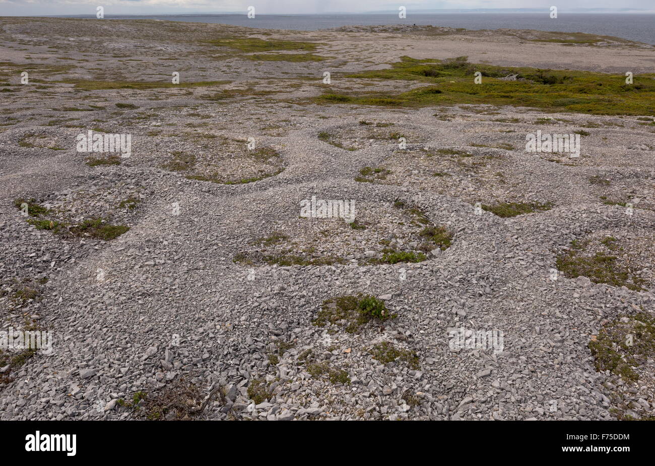 Permafrost hi-res stock photography and images - Alamy