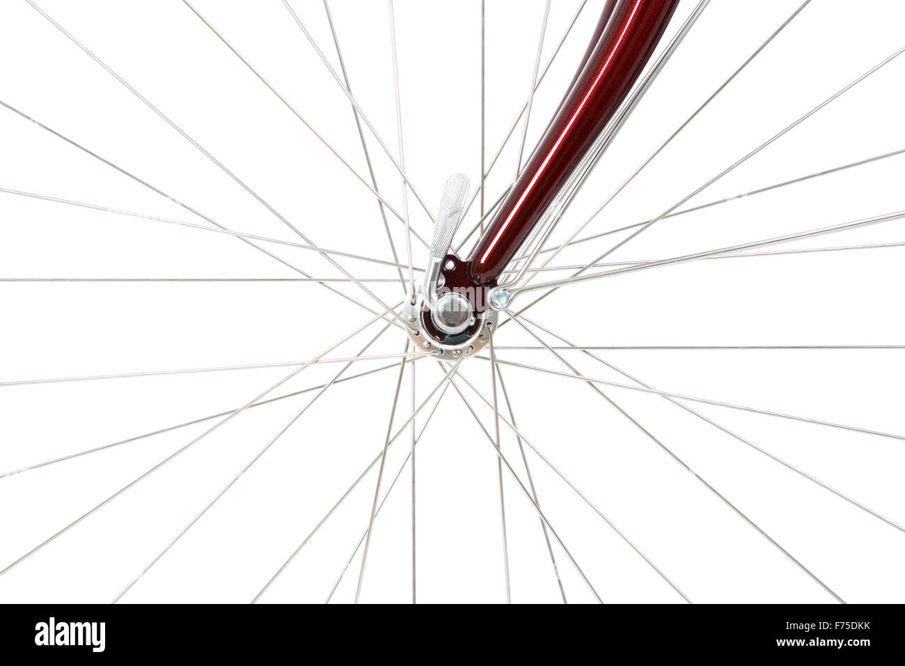 Close up front part Cut Out Stock Images & Pictures - Alamy