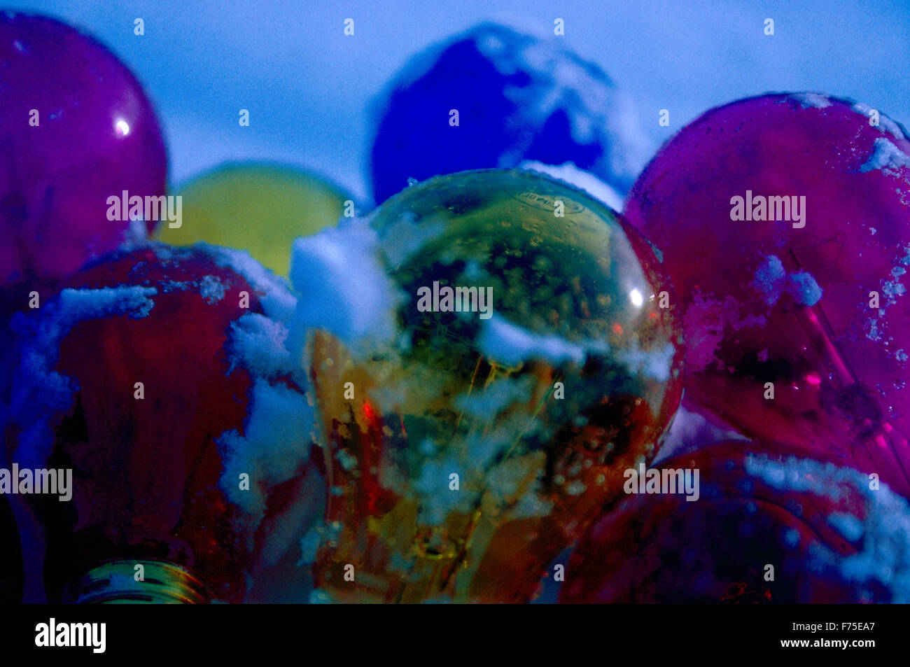 Snow bulb hi-res stock photography and images - Alamy