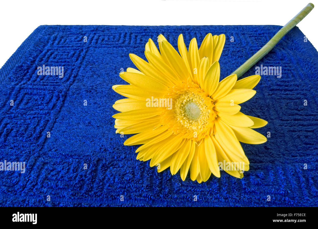 Blue and yellow graphics hi-res stock photography and images - Alamy