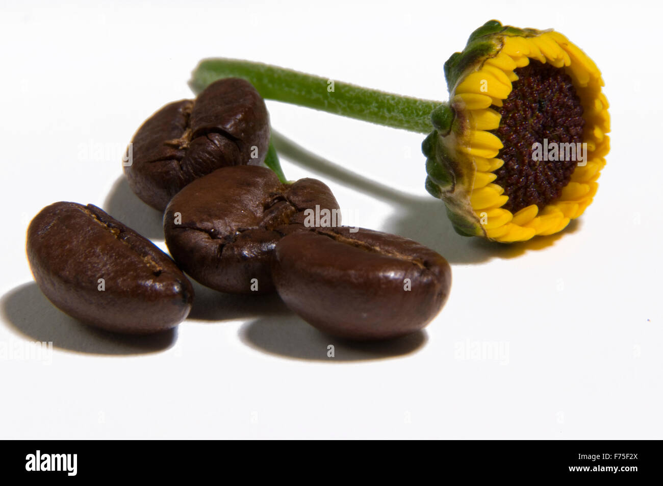 Let's have coffee together Stock Photo - Alamy