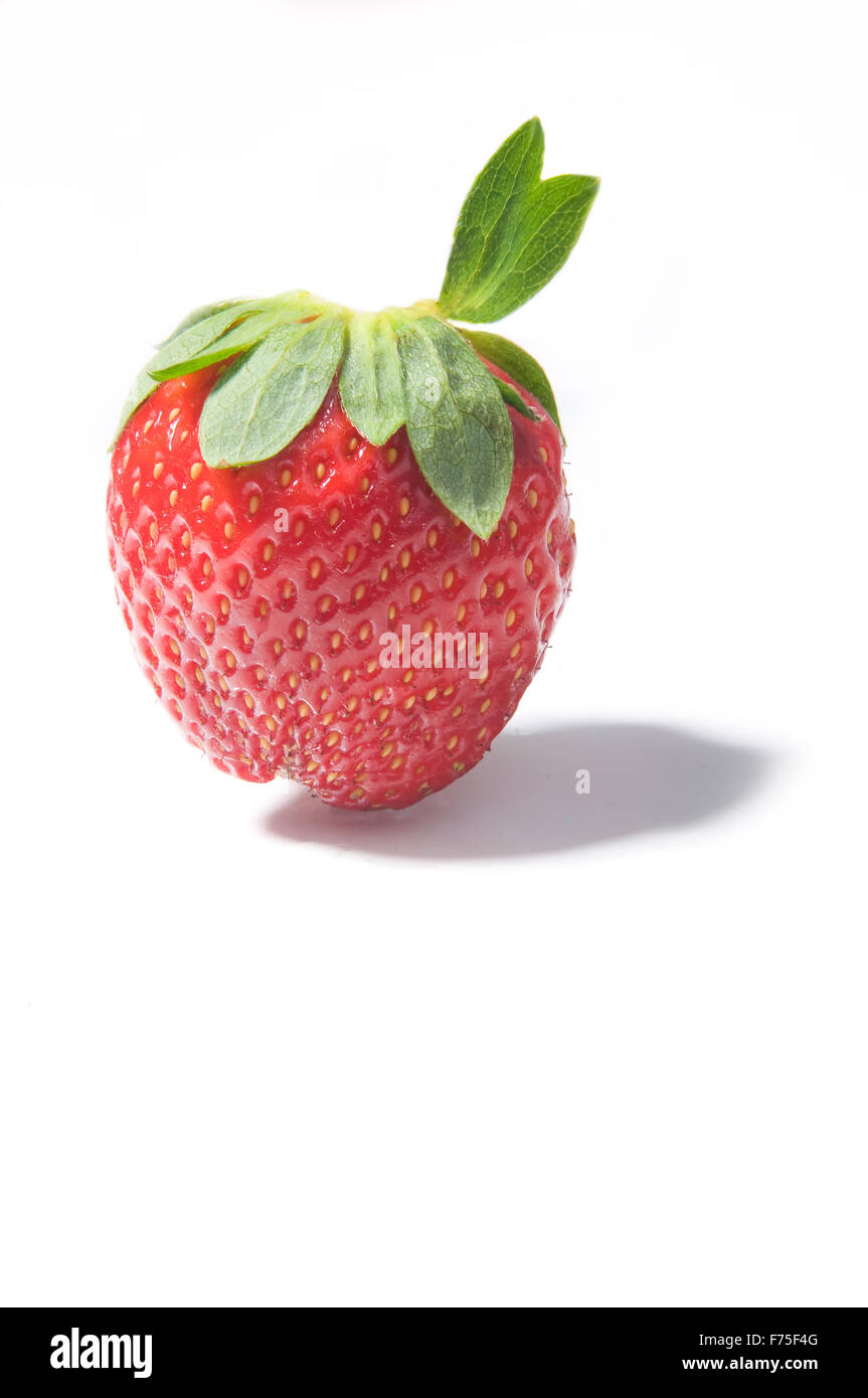 Single strawberry Cut Out Stock Images & Pictures - Alamy