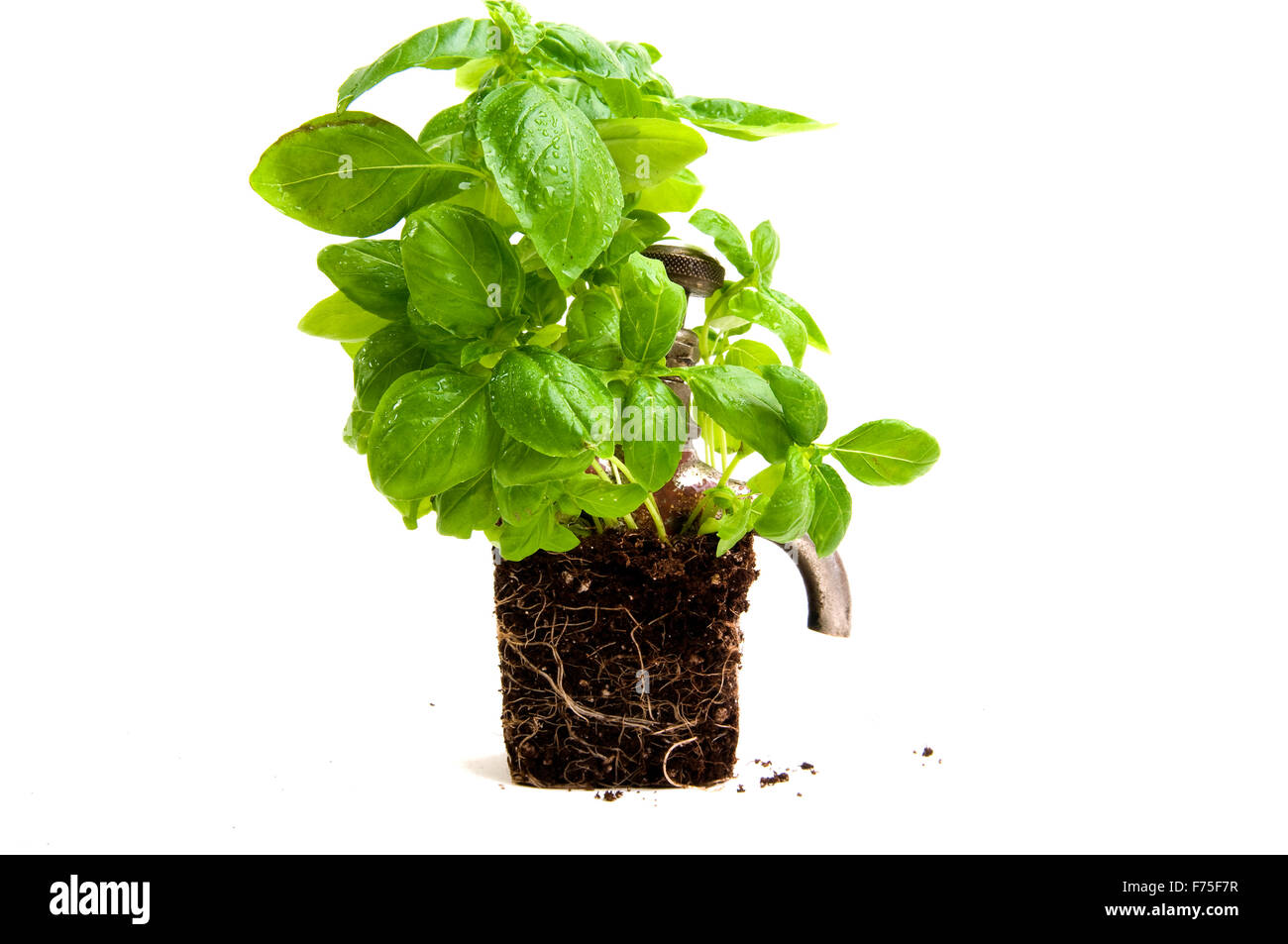 Distributor Cut Out Stock Images & Pictures - Alamy