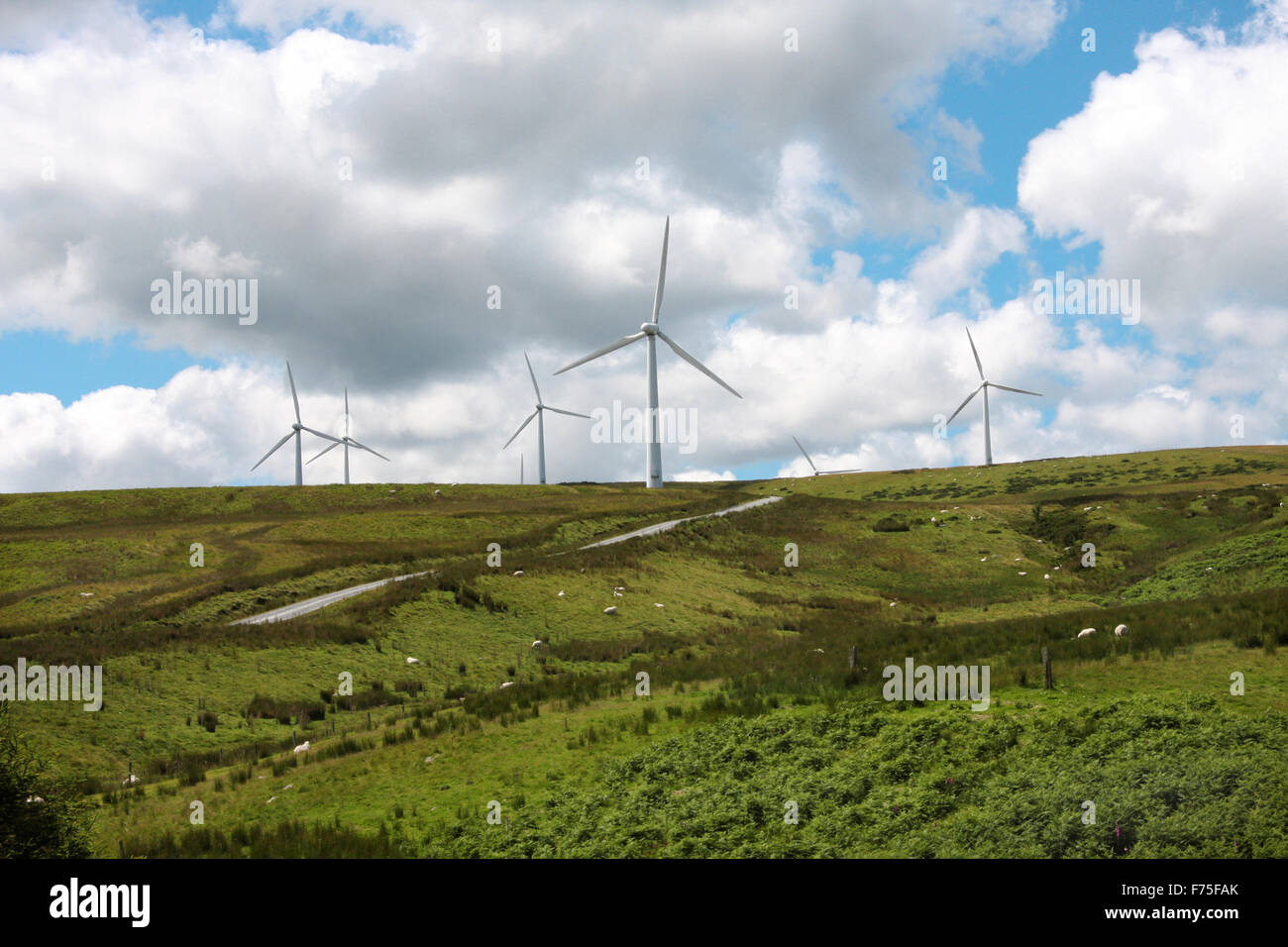 Carno wind farm hi-res stock photography and images - Alamy