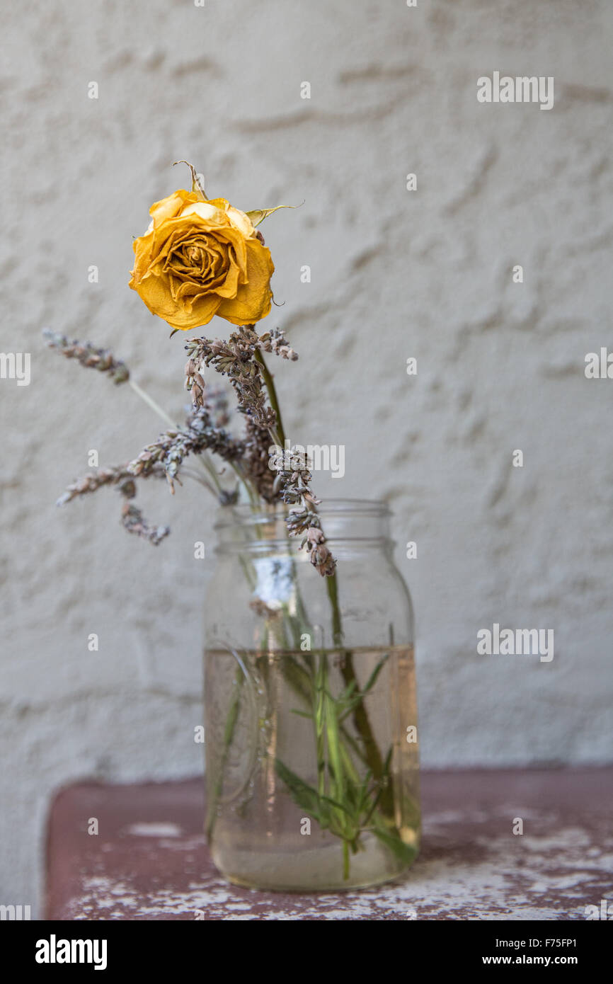 dried yellow rose in a jar Stock Photo - Alamy