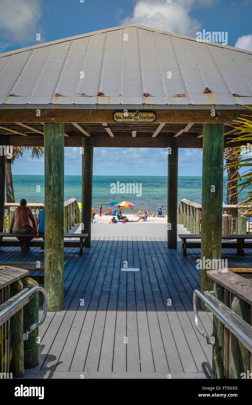 Wooden sea turtle hi-res stock photography and images - Alamy