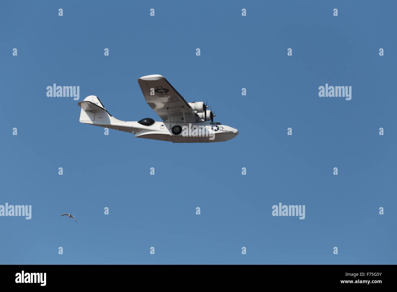 Canadian Vickers Limited PBV-1A Catalina flying boat (UK registration G ...