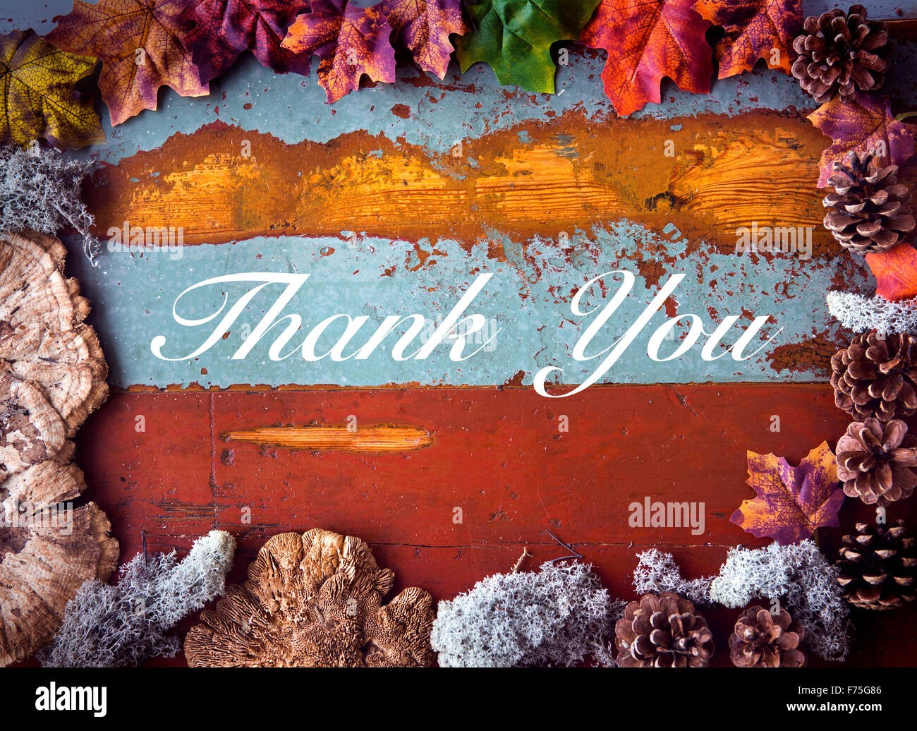 'Thank You' written on wooden vintage board with pinecones and leaves ...