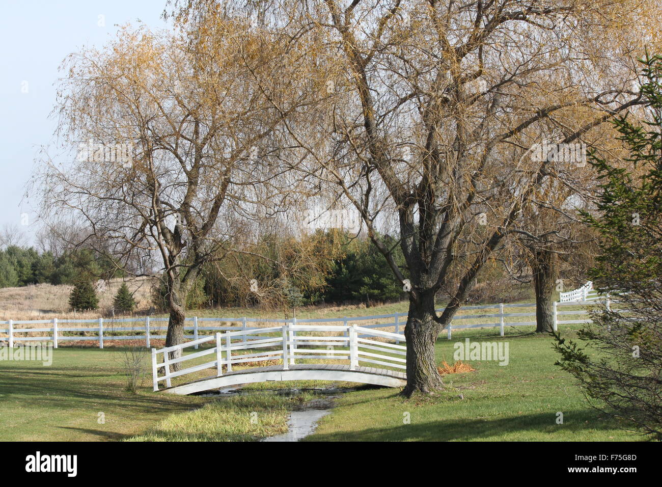 A white, wooden bridge spanning a small ditch full of water Stock Photo ...