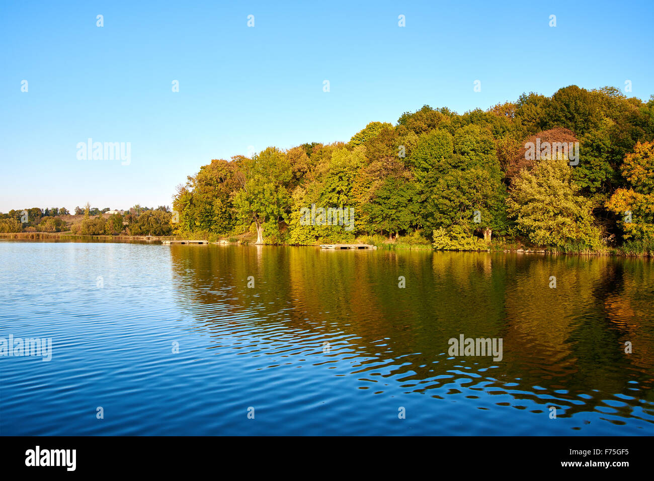 Beautiful reflection of trees on the river lake bank Stock Photo - Alamy