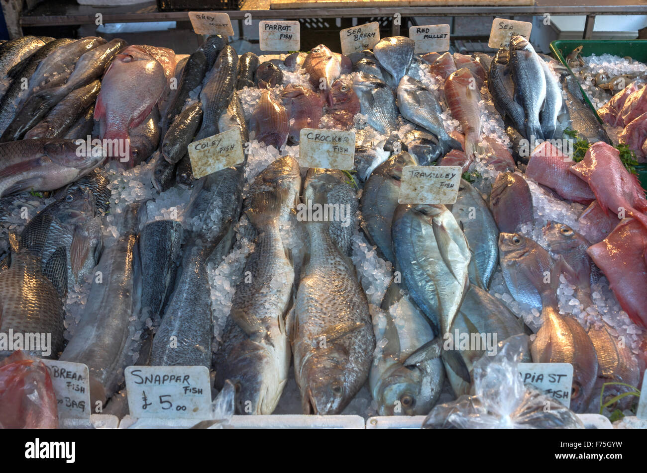 Market fish hi-res stock photography and images - Alamy