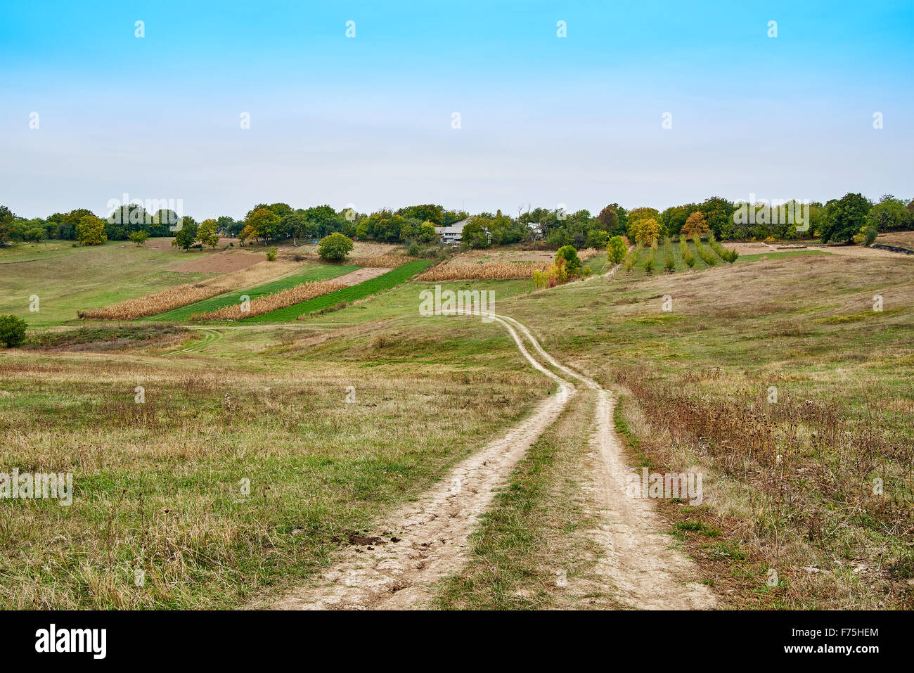 Country road. Rural landscape scene Stock Photo - Alamy