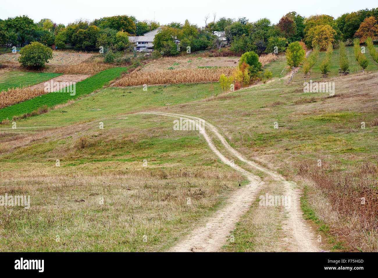 Country road. Rural landscape scene Stock Photo - Alamy