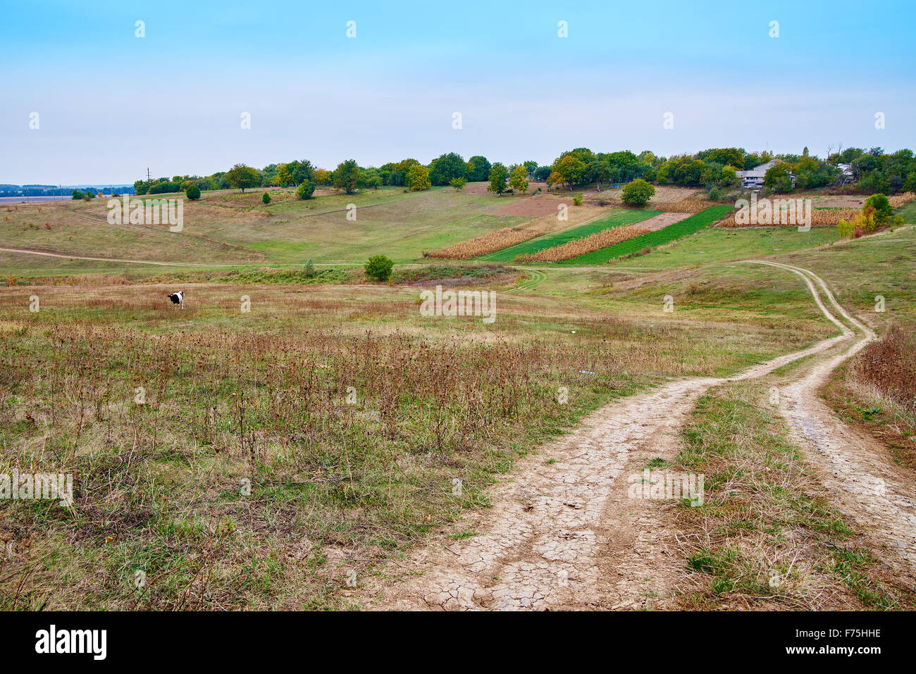 Country road. Rural landscape scene Stock Photo - Alamy