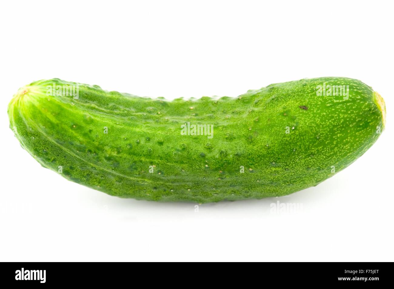 One green cucumber Stock Photo - Alamy