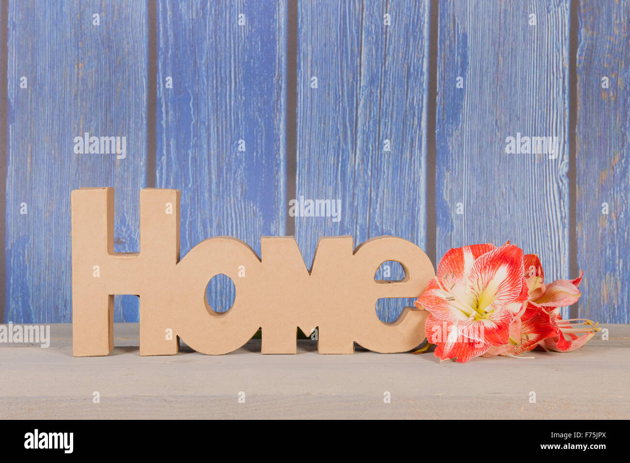 Word home with Amaryllis flowers on blue background Stock Photo - Alamy