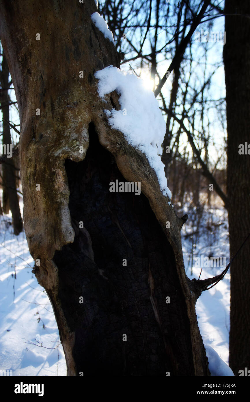 Hollow back hi-res stock photography and images - Alamy