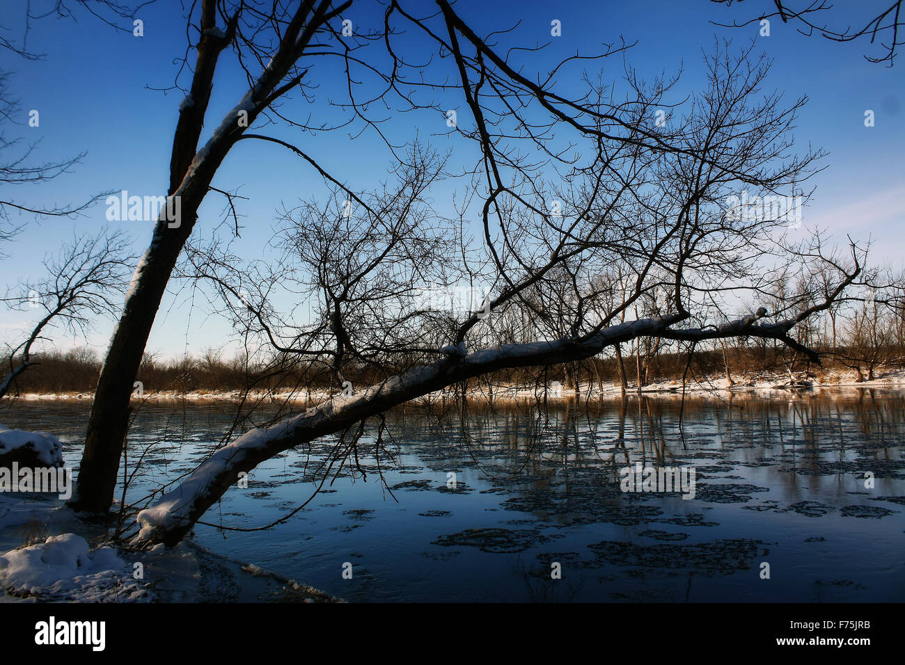 Fox river illinois hi-res stock photography and images - Alamy