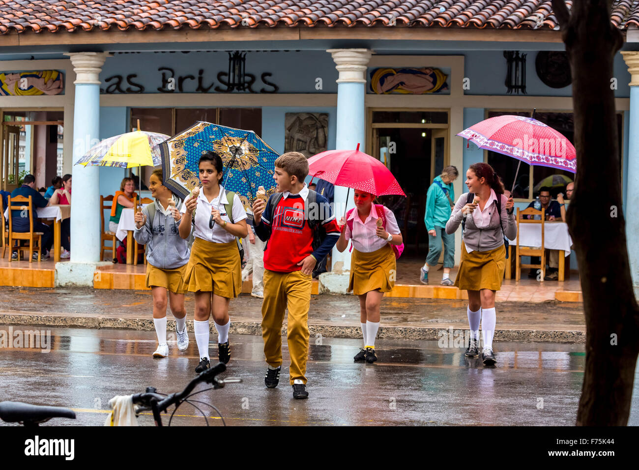 Vintagebeef Bubba Eating Rain