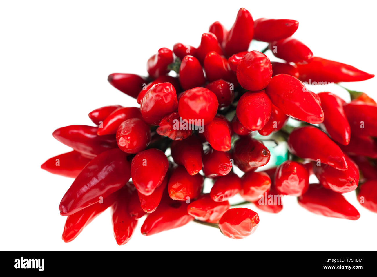 bunch of red chilis isolated on white background Stock Photo - Alamy
