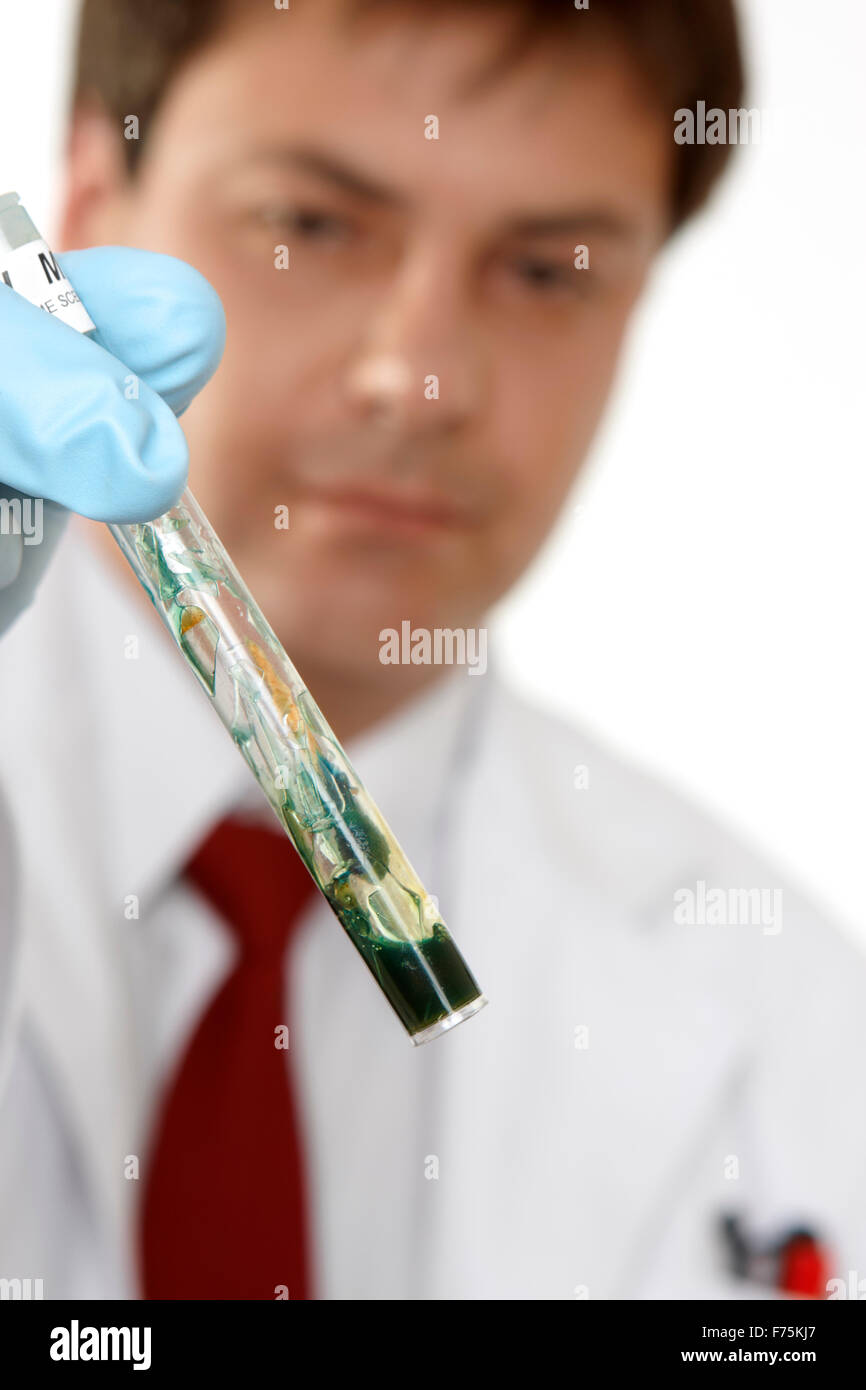 Forensic Blood Testing (final stage Stock Photo - Alamy