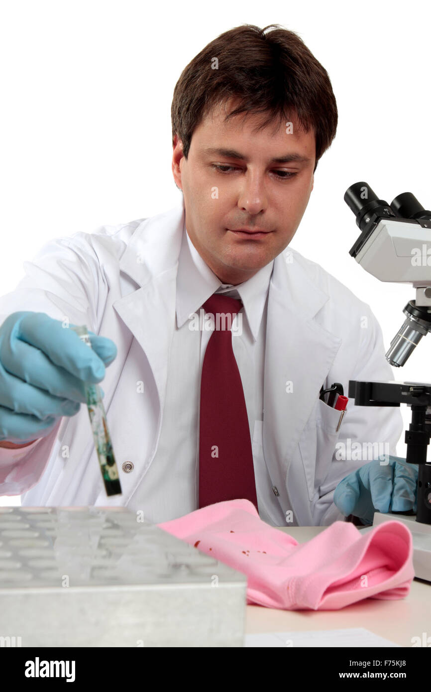 Forensic scientist at work Stock Photo - Alamy