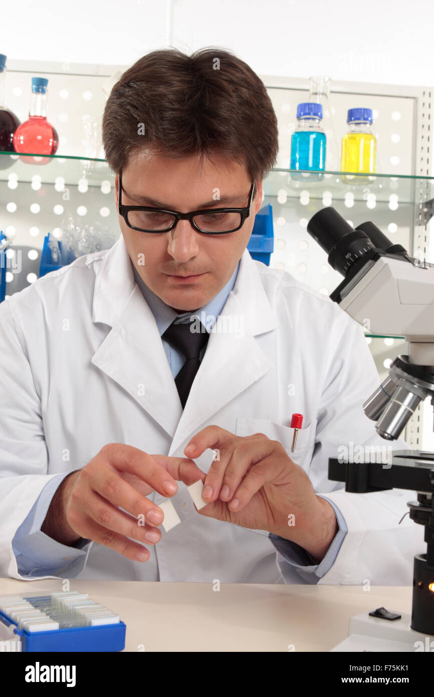 Scientist at work in a laboratory Stock Photo - Alamy