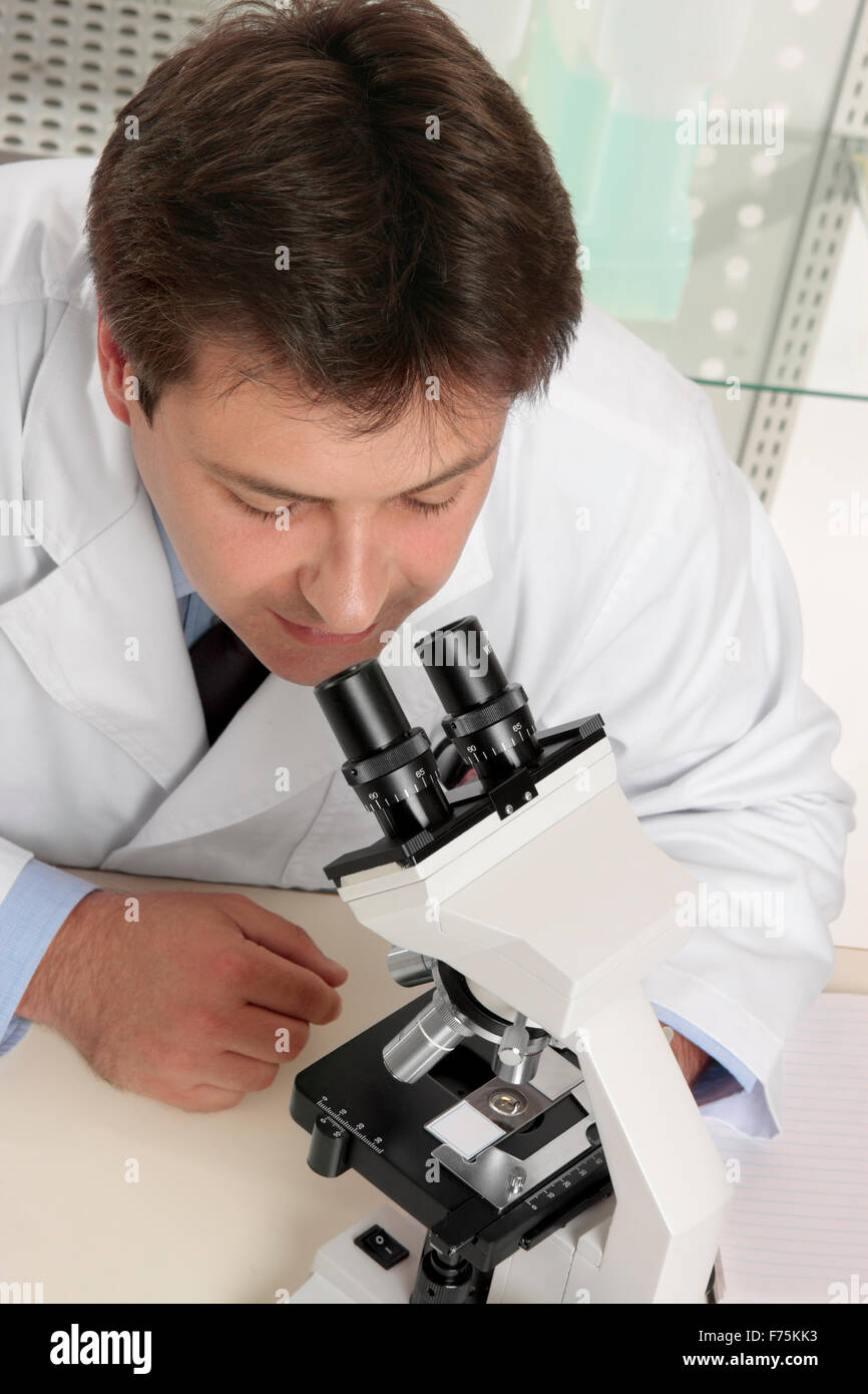 Looking through the microscope Stock Photo - Alamy