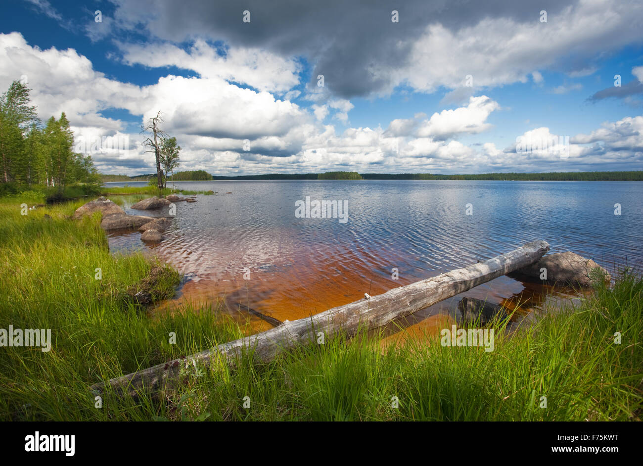 summer scene, finland Stock Photo - Alamy