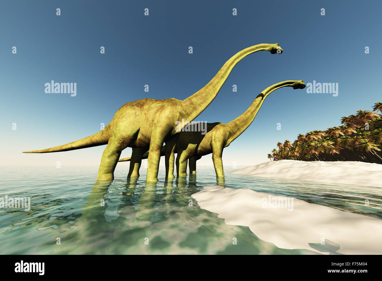 Diplodocus teeth hi-res stock photography and images - Alamy