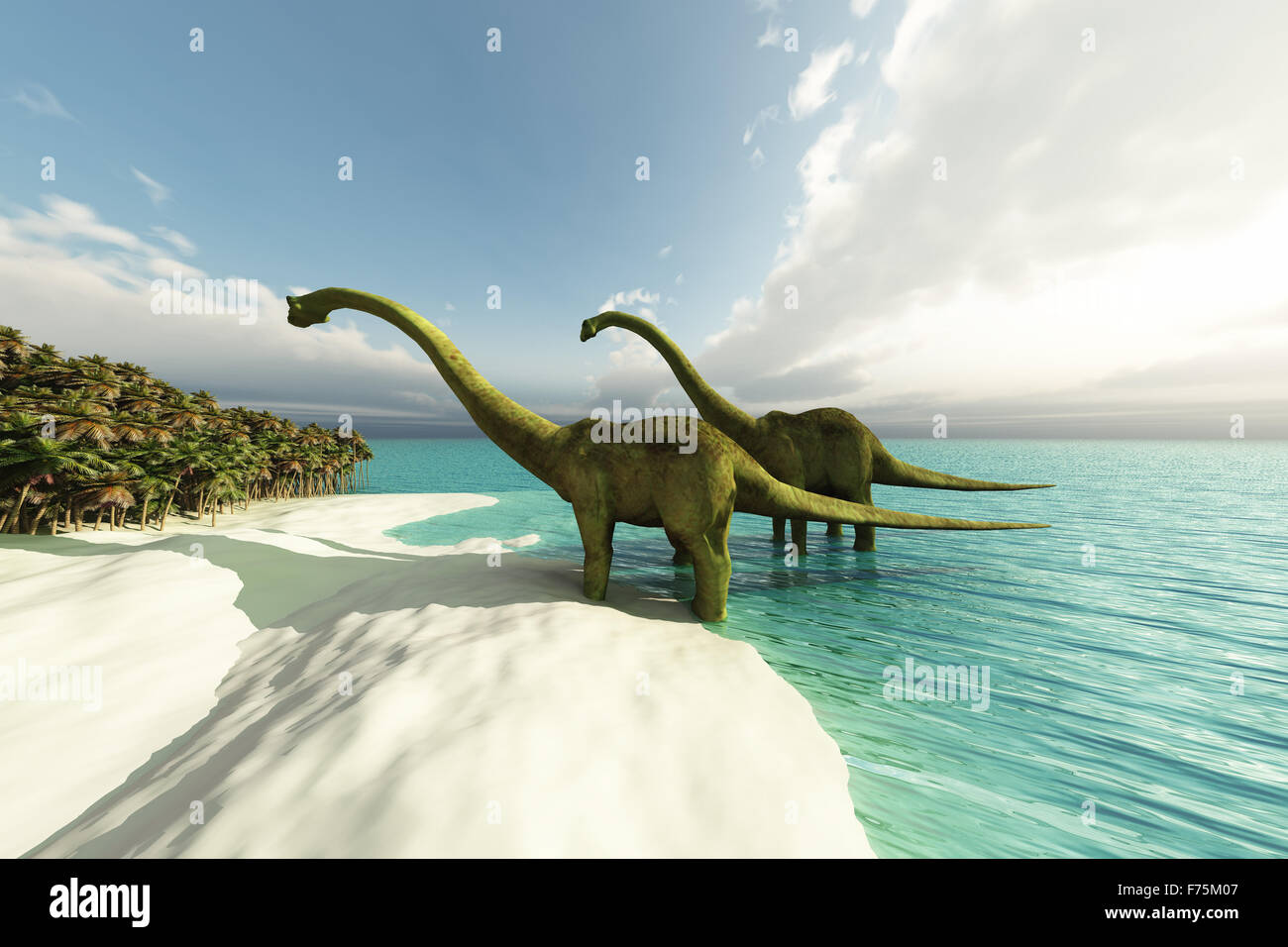 Diplodocus teeth hi-res stock photography and images - Alamy