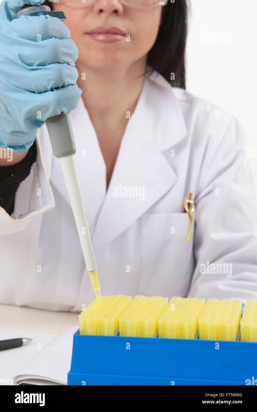 Scientist using pipette Stock Photo - Alamy