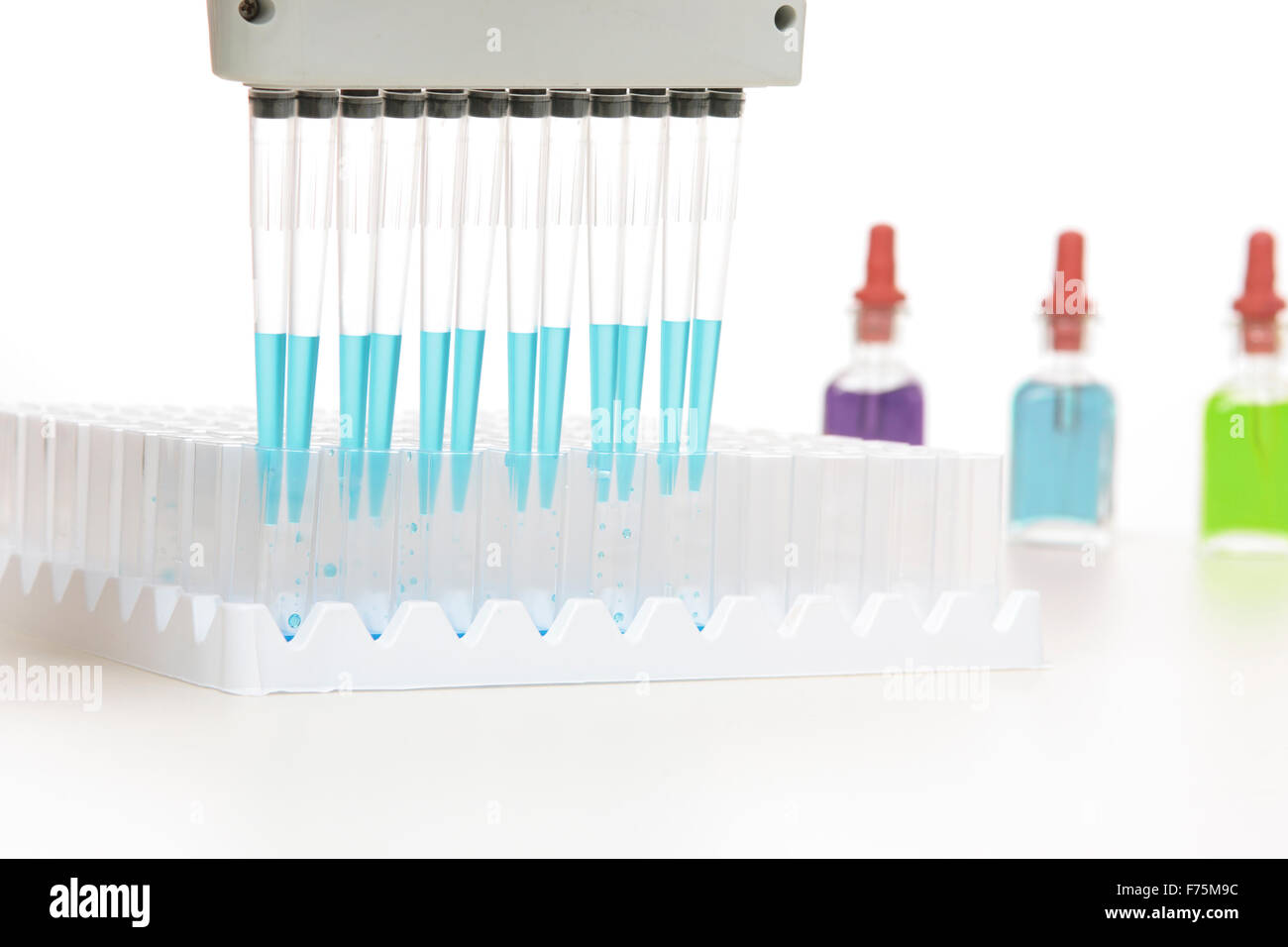 Genetic engineering using pipette hi-res stock photography and images ...