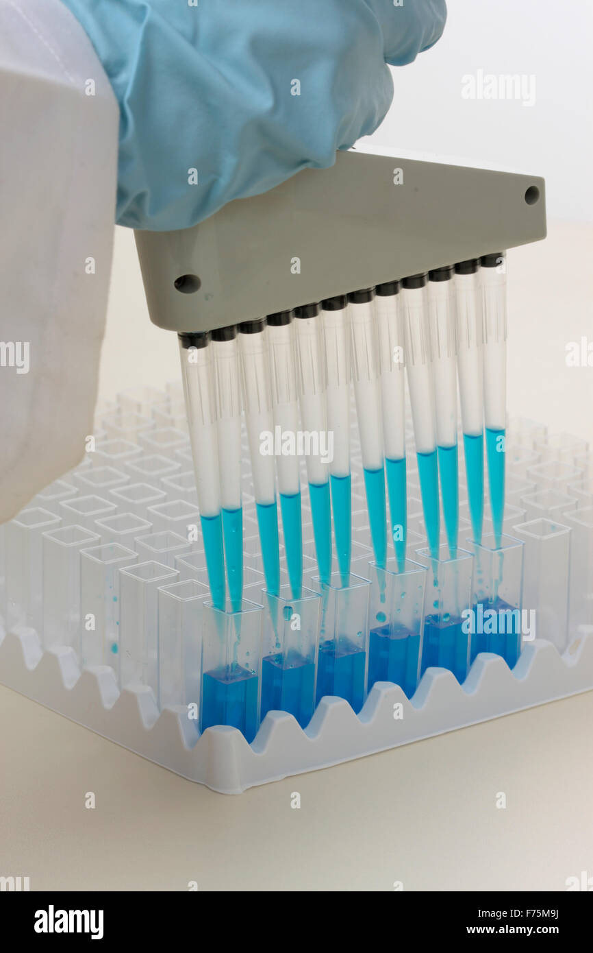 Genetic engineering using pipette hi-res stock photography and images ...