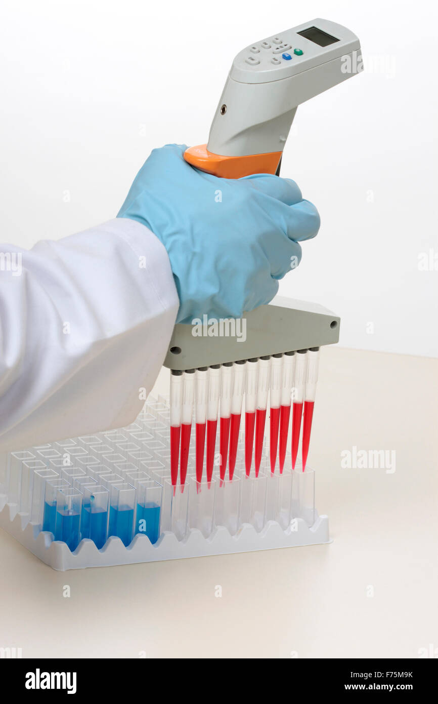 Multi channel pipette Stock Photo - Alamy