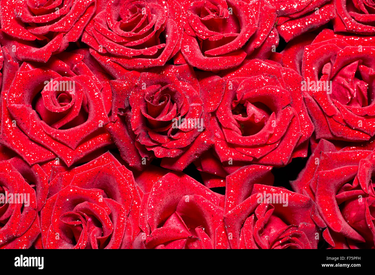 red roses background Stock Photo - Alamy