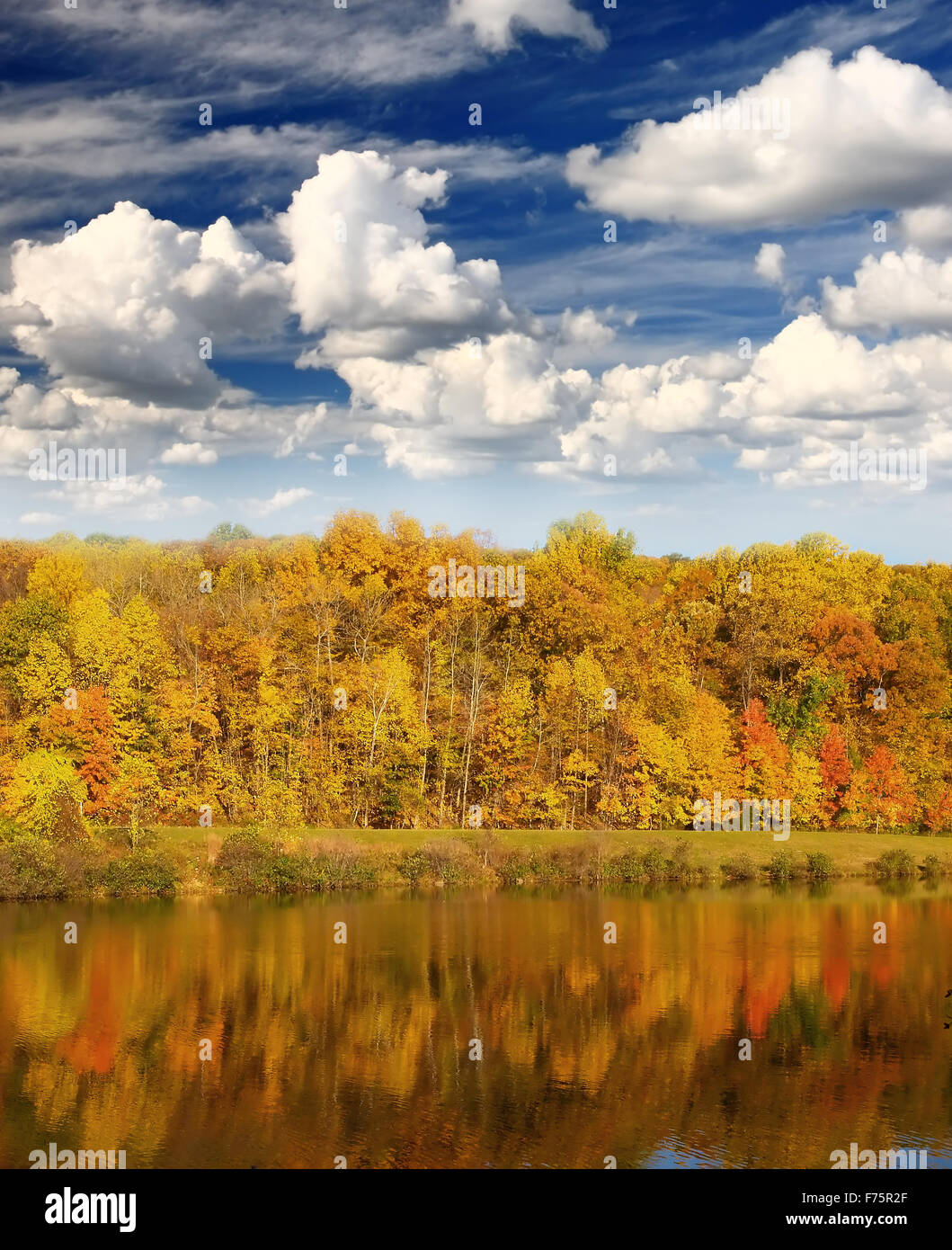 The foliage scenery Stock Photo - Alamy