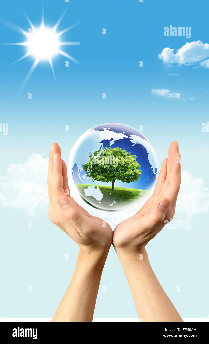 Hand and a tree Stock Photo - Alamy