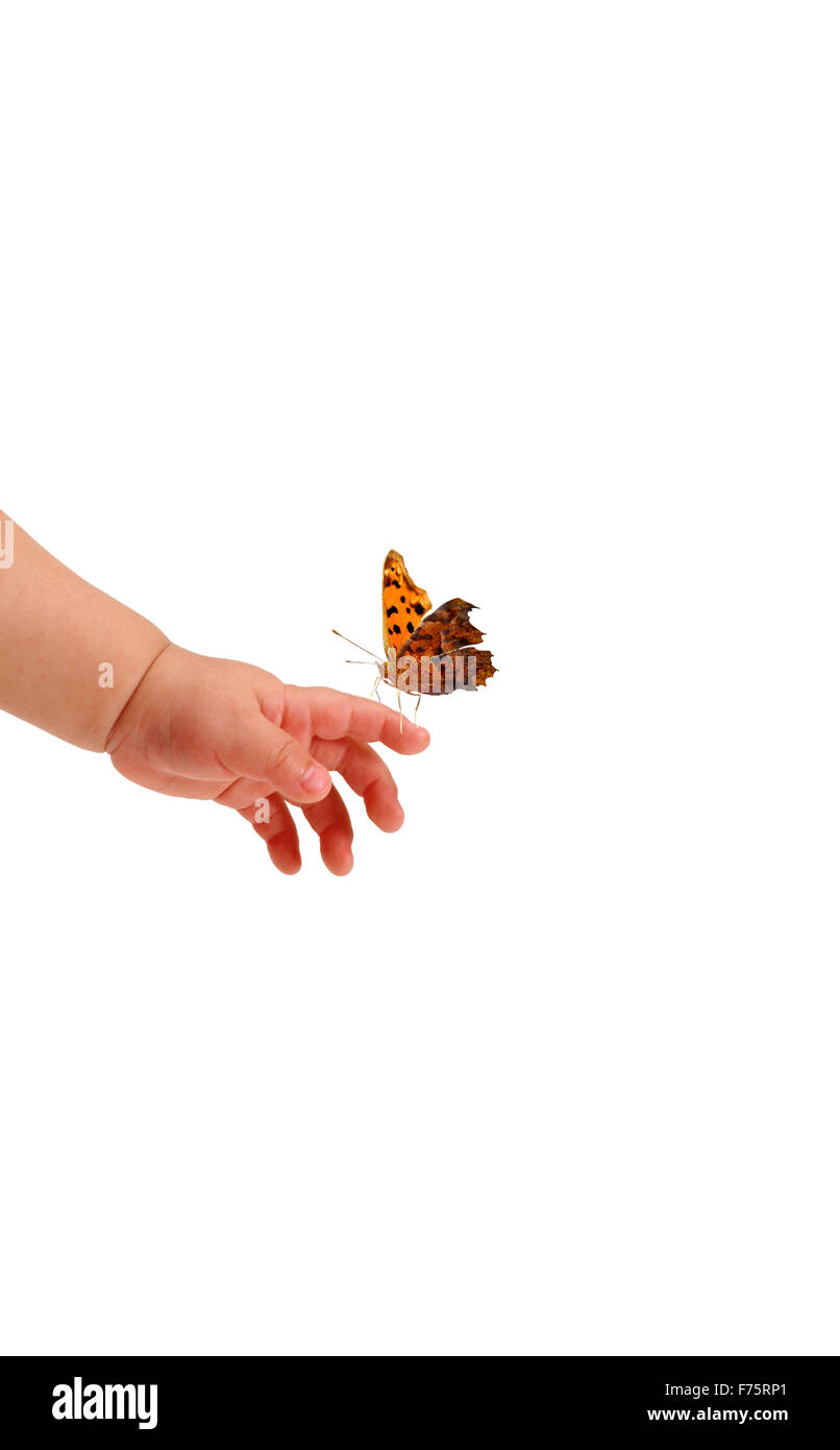 Baby and a butterfly Stock Photo - Alamy